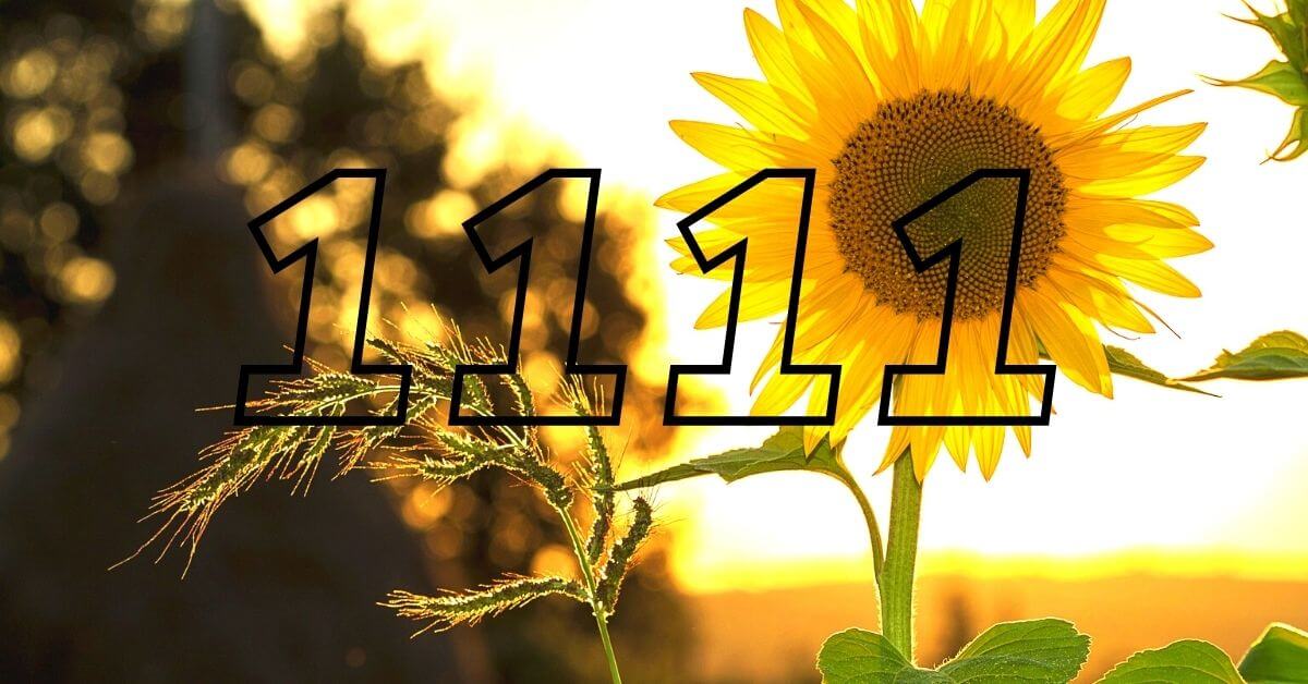 Qual O Significado De 1111? » Mundo Da Numerologia