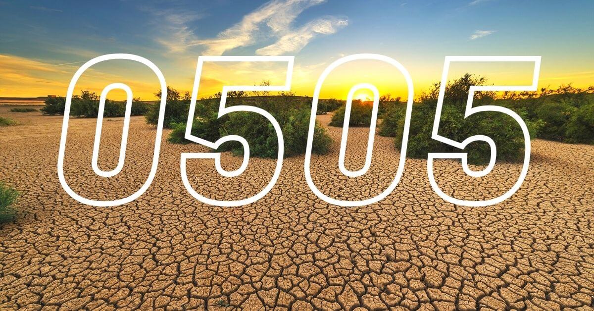 Numerologia: Anjo Número 0505 Significado » Mundo Da Numerologia