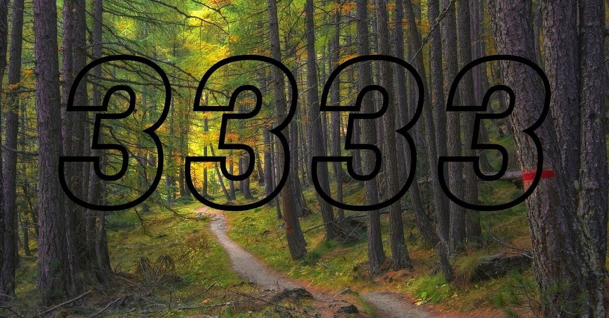 Numerologia: Anjo Número 3333 Significado » Mundo Da Numerologia