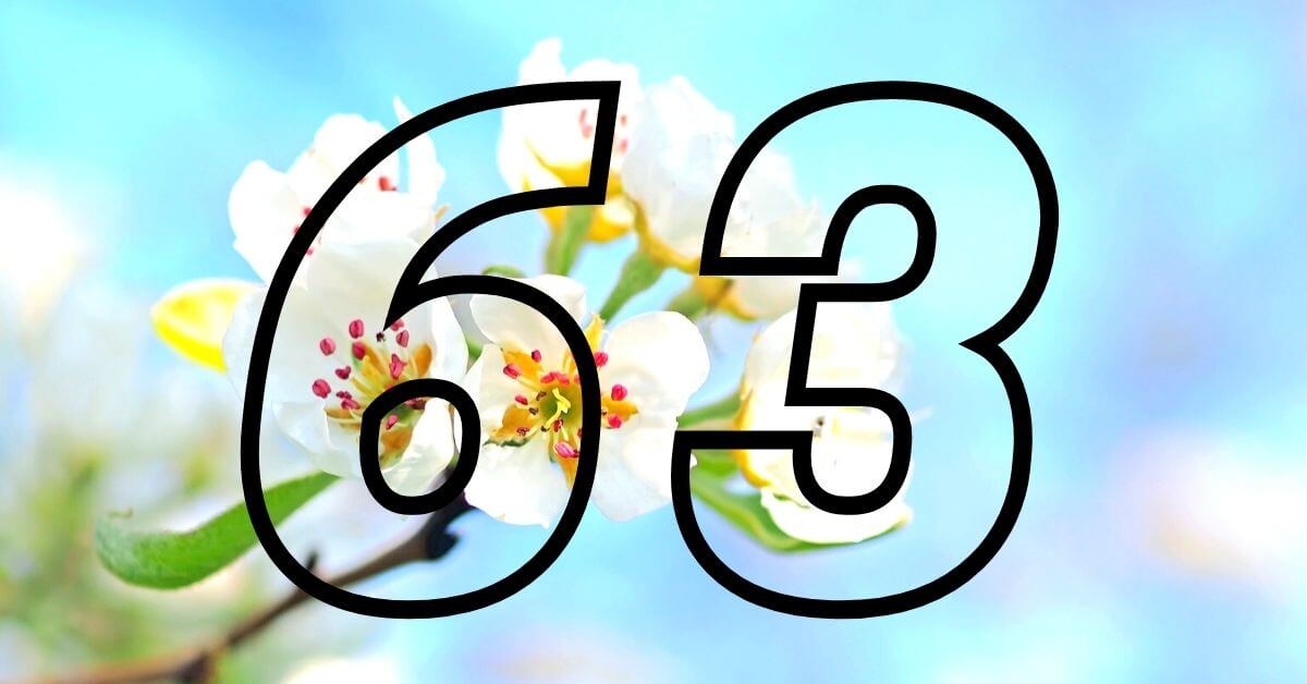Numerologia: Significado Do Número 63 » Mundo Da Numerologia