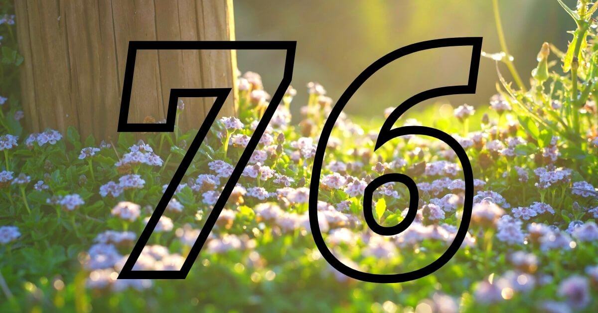 Numerologia: Significado Do Número 76 » Mundo Da Numerologia
