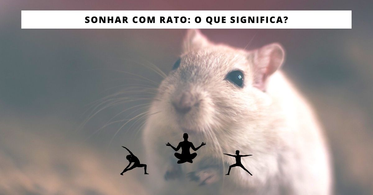 Sonhar Com Rato: O Que Significa? » Mundo Da Numerologia